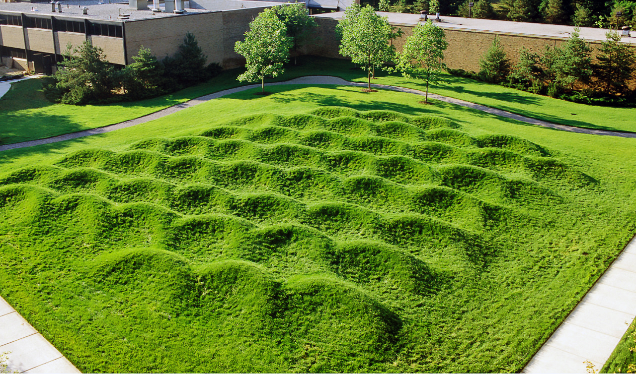 Maya Lin - Academy of Achievement