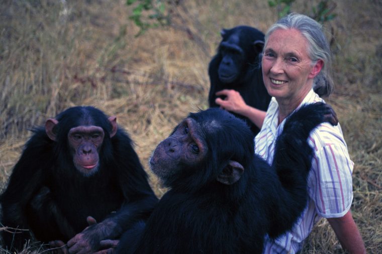 Dame Jane Goodall - Academy of Achievement
